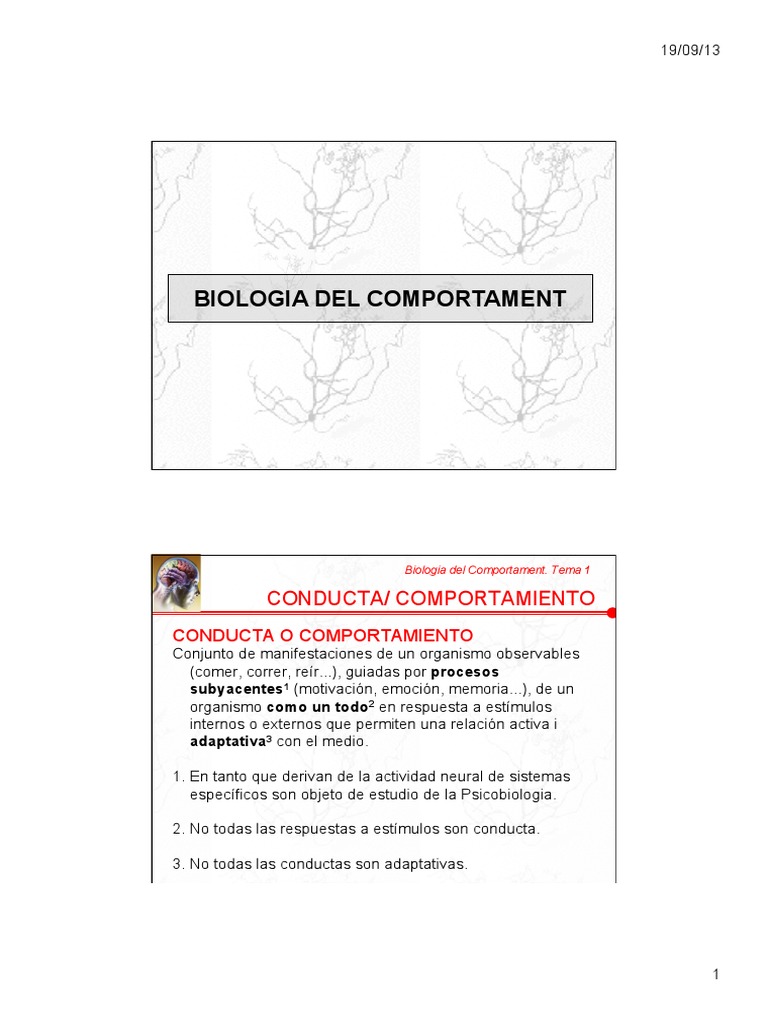 TEMA 1 - Biologia Del Comportament | PDF | Sistema nervioso central | Biología
