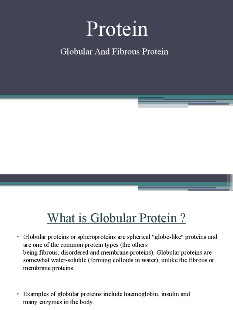 Globular vs. Fibrous Proteins Explained | PDF | Collagen | Alpha Helix