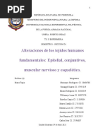 05 Tejidos Epiteliales III Especializaciones Del Dominio Basolateral ...