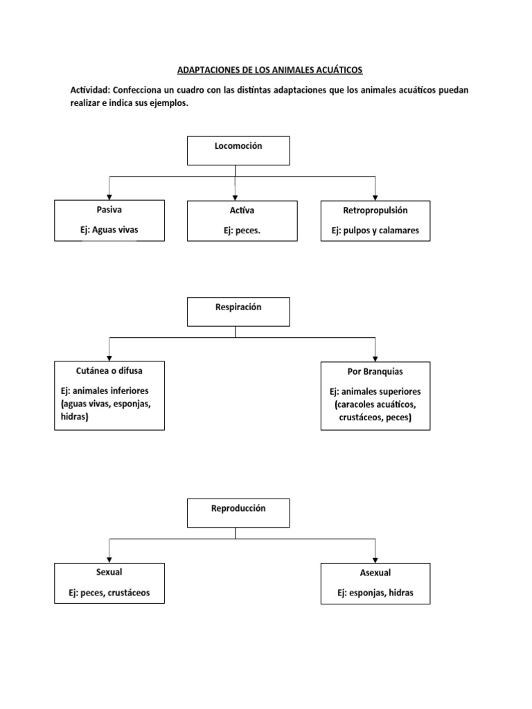 Adaptaciones de Los Animales Acuáticos | PDF | Pescado | Animales acuáticos