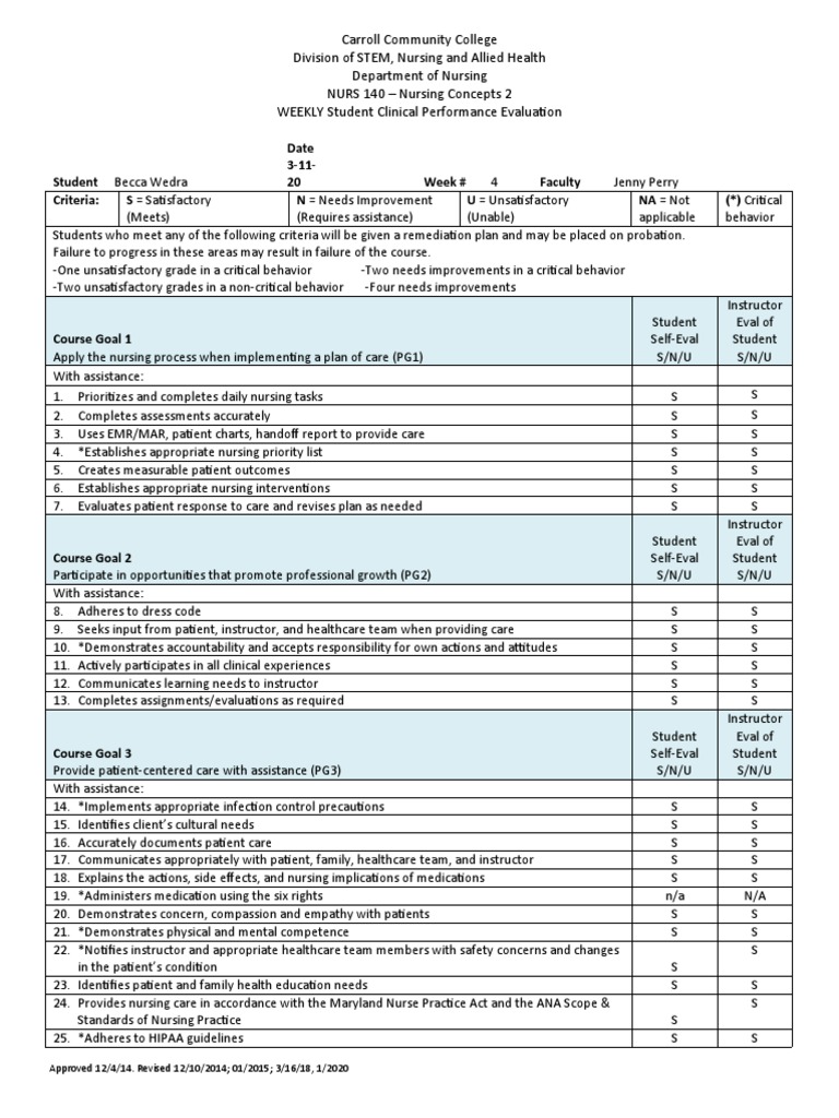 Becca 4 | PDF | Nursing | Patient