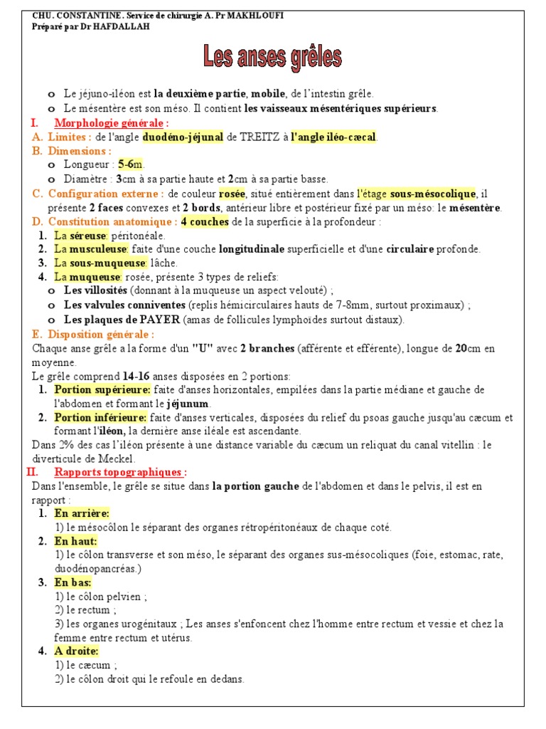 Anatomie des anses grêles et mésentère | PDF | Péritoine | Spécialités ...
