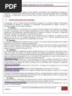 Anatomie des anses grêles et mésentère | PDF | Péritoine | Spécialités ...