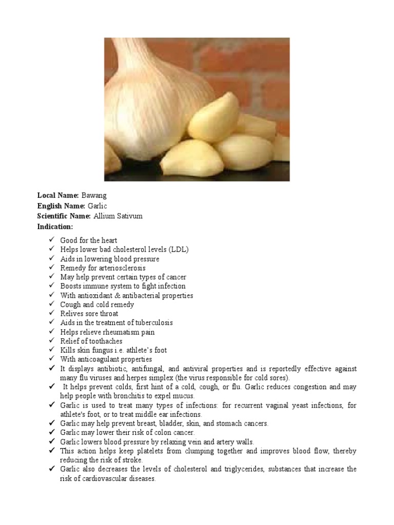 Local Name: Bawang English Name: Garlic Scientific Name: Allium Sativum ...