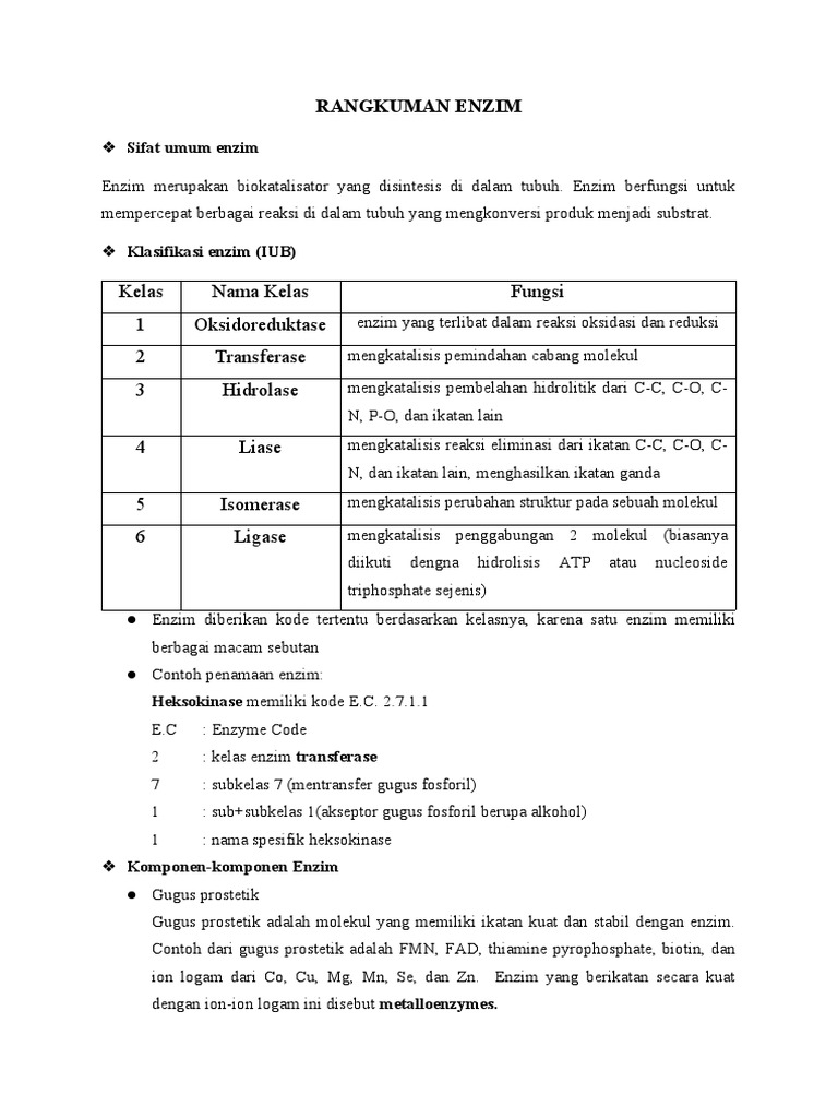 Rangkuman Enzim | PDF