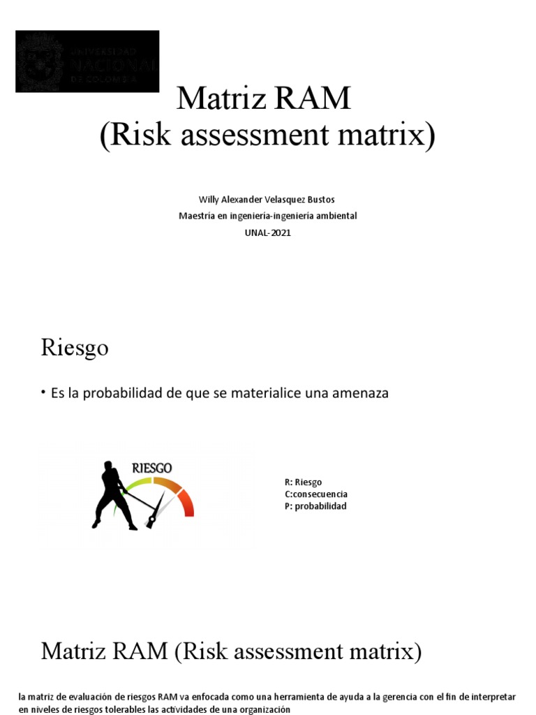 Matriz RAM | PDF | Riesgo | Probabilidad