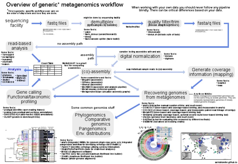 Metagen Overview | PDF | Life Sciences | Biological Engineering