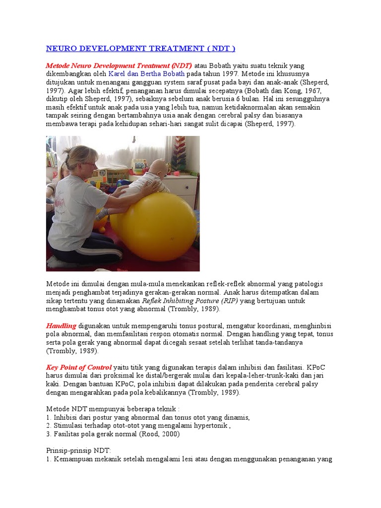 Neuro Development Treatment | PDF