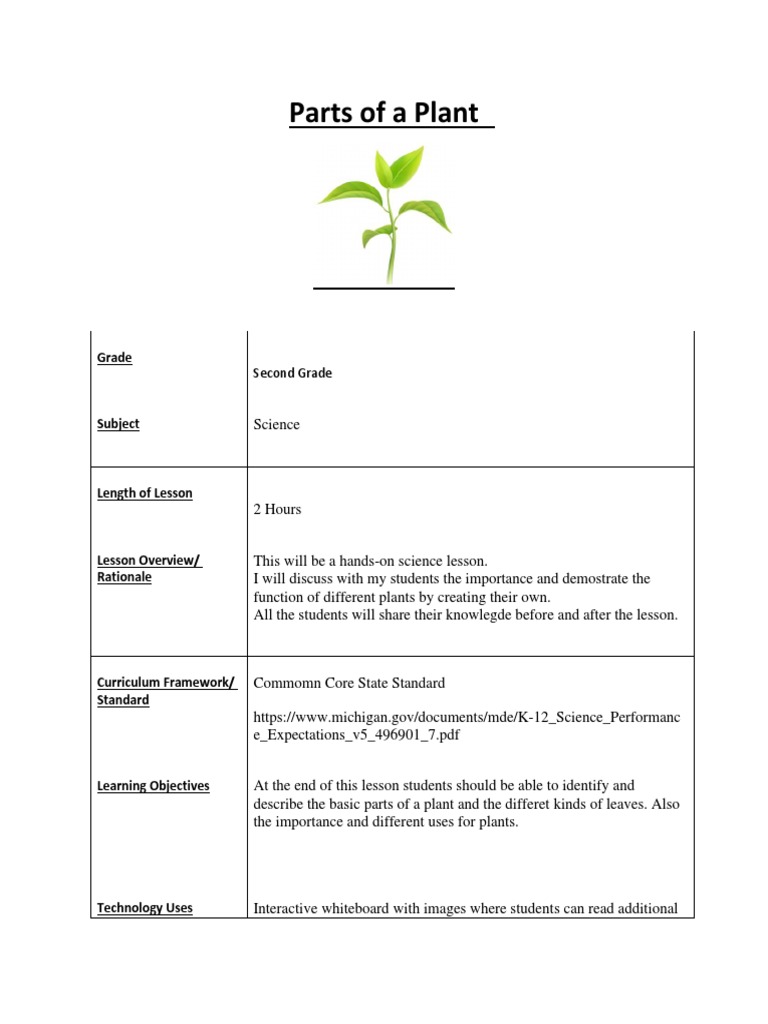 Lesson Plan Template With Rubric | PDF | Plants | Trees