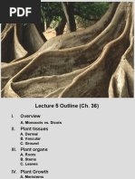 Plants Specialized Structures | PDF