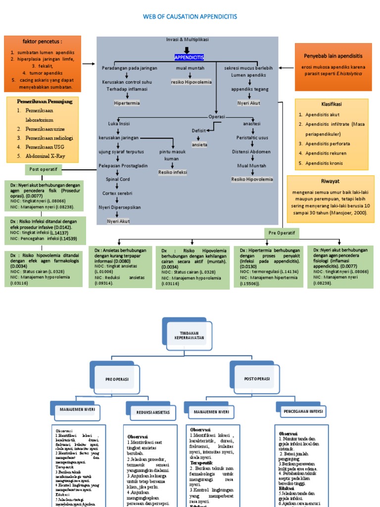 Woc Apendisitis | PDF
