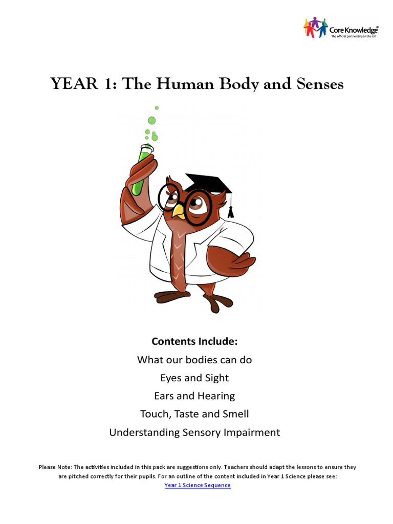 Resource Pack - Science - Year 1 - Human Body and Senses | PDF | Ear ...