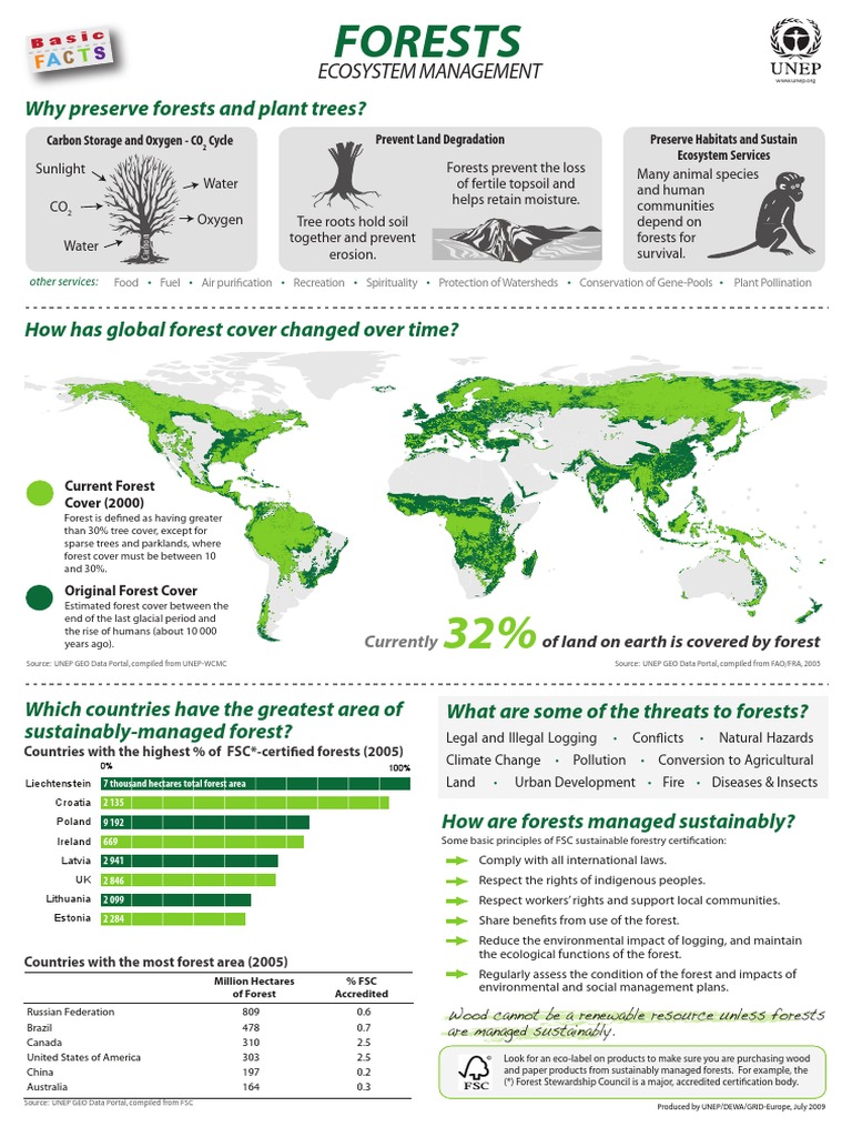 Global Forest Cover and Deforestation Trends | PDF | Forest Stewardship ...