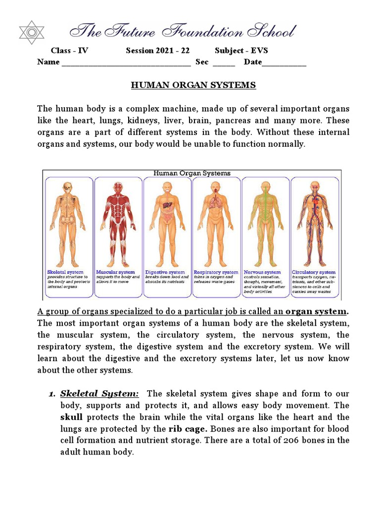 Class - IV Session 2021 - 22 Subject - EVS Name - Sec - Date - Human ...