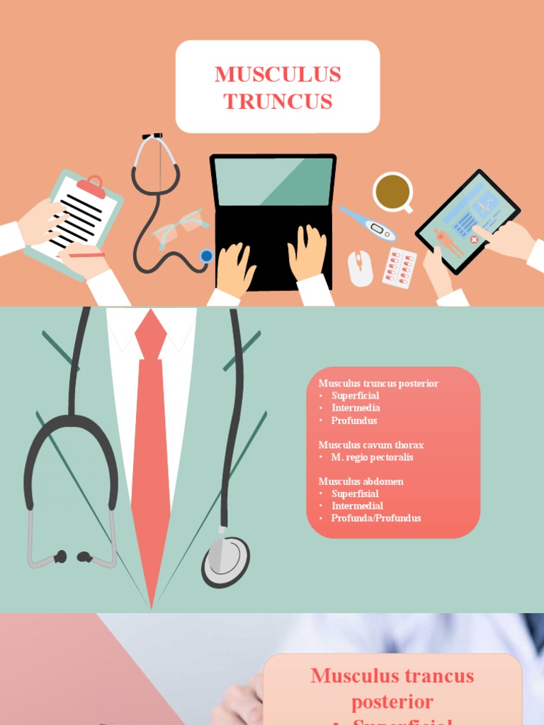 Musculus truncus posterior | PDF
