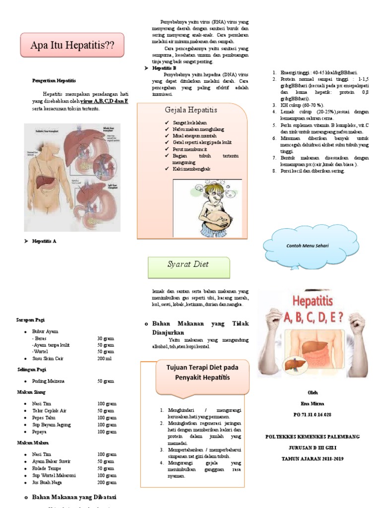 Pengertian Hepatitis Leaflet Ena | PDF