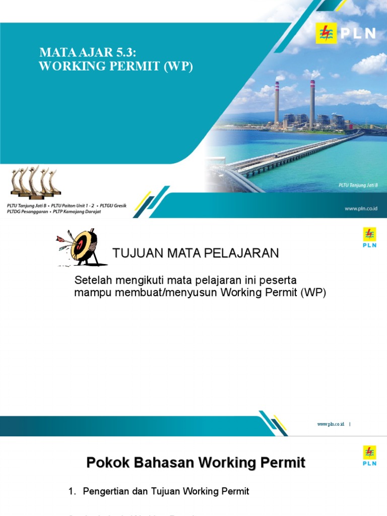 Working Permit | PDF