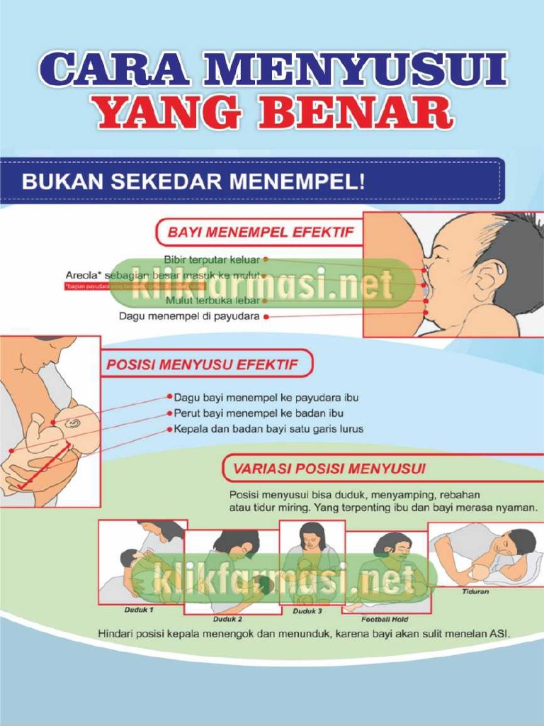 POSTER Cara Menyusui | PDF