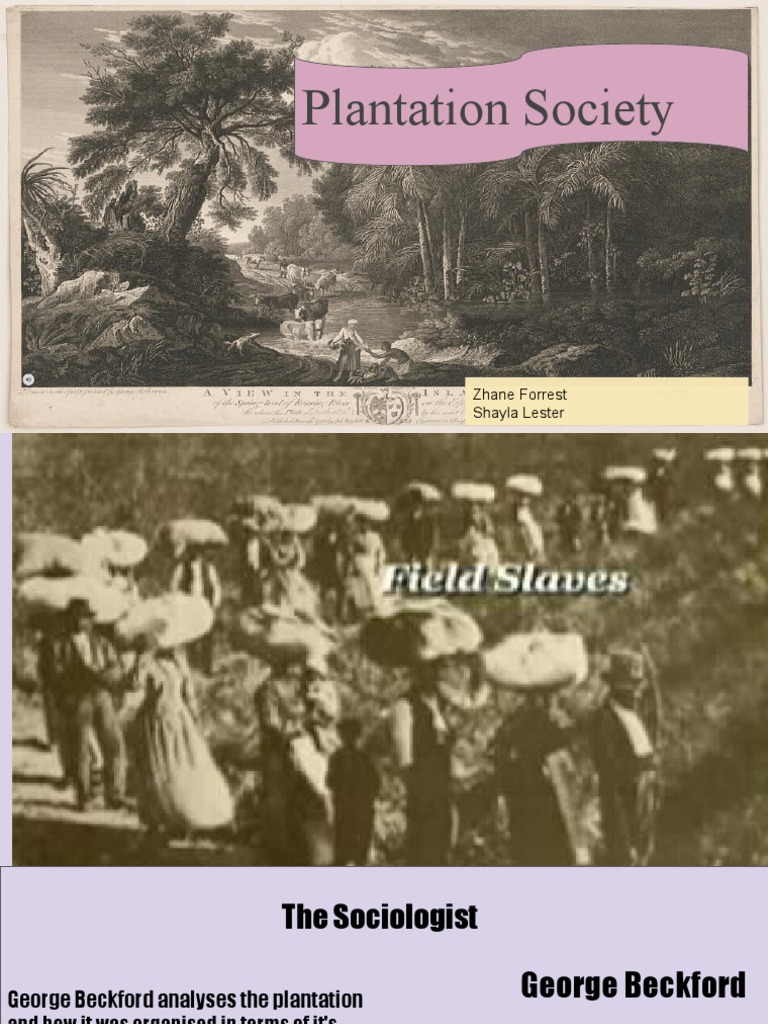 Plantation Society: Zhane Forrest Shayla Lester | PDF | Social ...