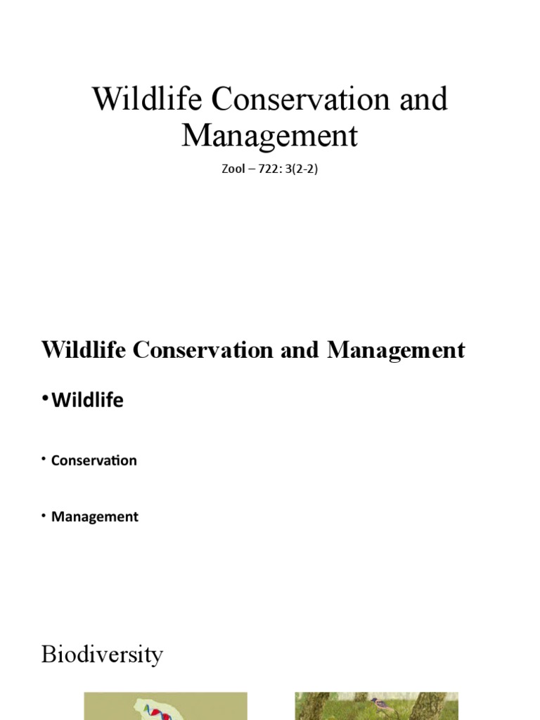 Wildlife Intro | PDF | Extinction | Biodiversity