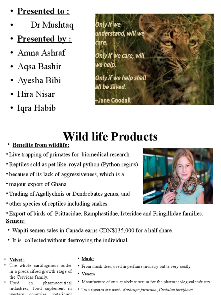 DR Mushtaq Amna Ashraf Aqsa Bashir Ayesha Bibi Hira Nisar Iqra Habib ...