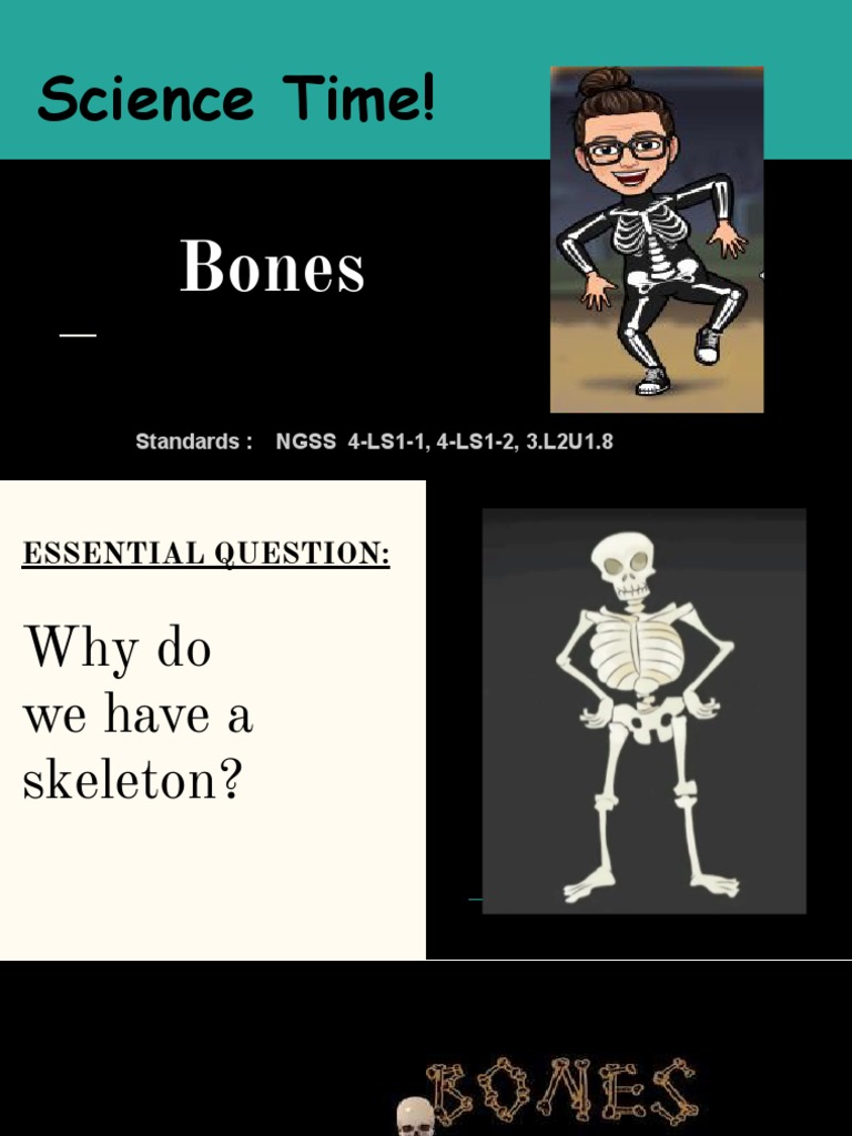 Science Time Bones Lesson Plan | PDF | Skeleton | Bone