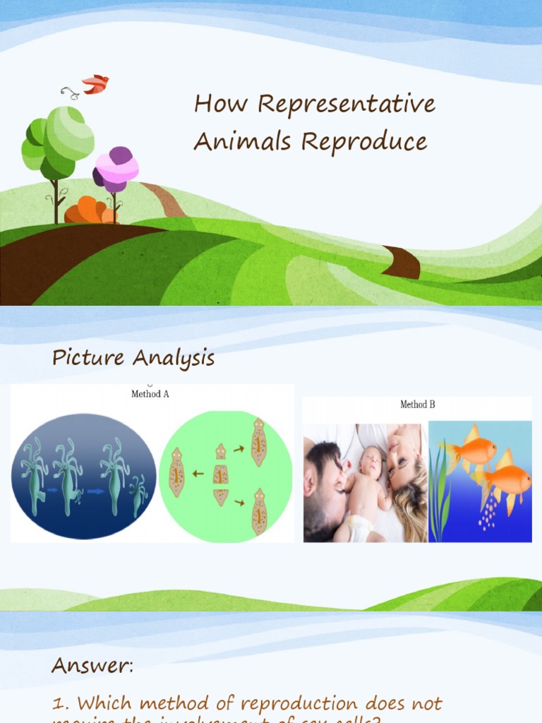 Lesson 3 How Representative Animals Reproduce | PDF