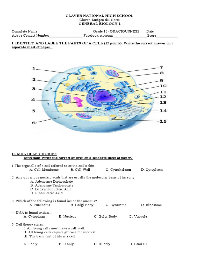 General Biology 1 Quiz: Cell Theory & DNA | PDF | Cell Nucleus | Cell ...