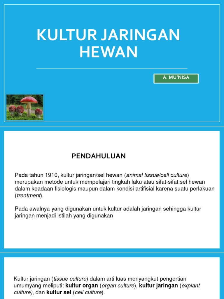 Prinsip Dasar Kultur Jaringan Hewan | PDF | Sains & Matematika