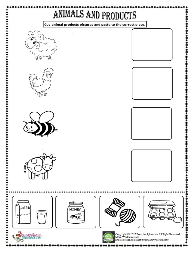 Animal Products Worksheet | PDF