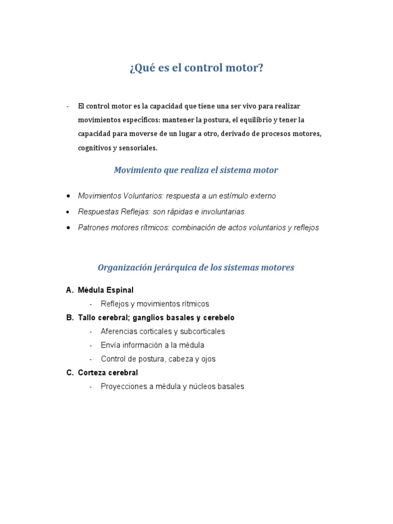 Organización Jerárquica de Los Sistemas Motores | PDF | Neurona motora | Músculo