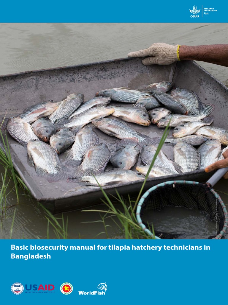 Basic Biosecurity Manual For Tilapia Hatchery Technicians in Bangladesh ...