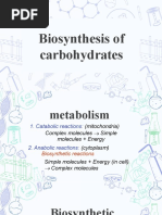 Biochemistry Carbohydrates BSC Nursing | PDF
