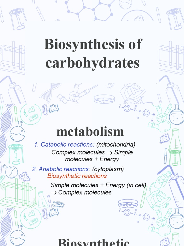 Biosynthesis of Carbohydrates | PDF | Metabolic Pathway | Pyruvic Acid