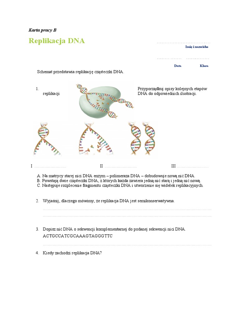 Replikacja DNA | PDF