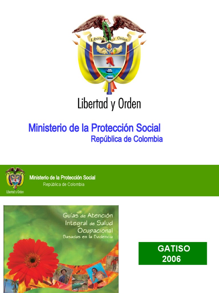 Presentacion Gatiso | PDF | Seguridad y salud ocupacional | Hombro