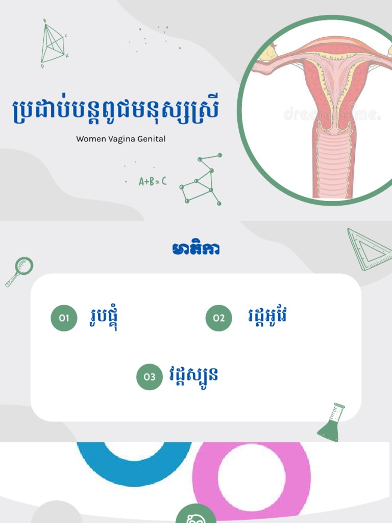 Women Reproductive System | PDF