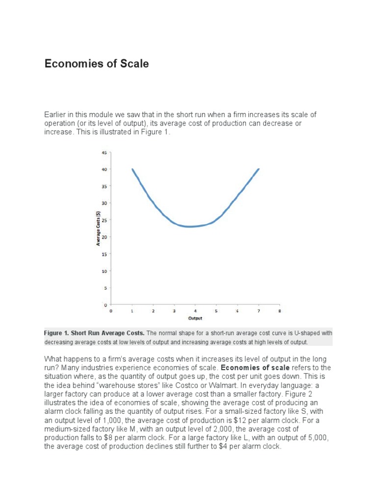 Economies of Scale | PDF | Average Cost | Long Run And Short Run