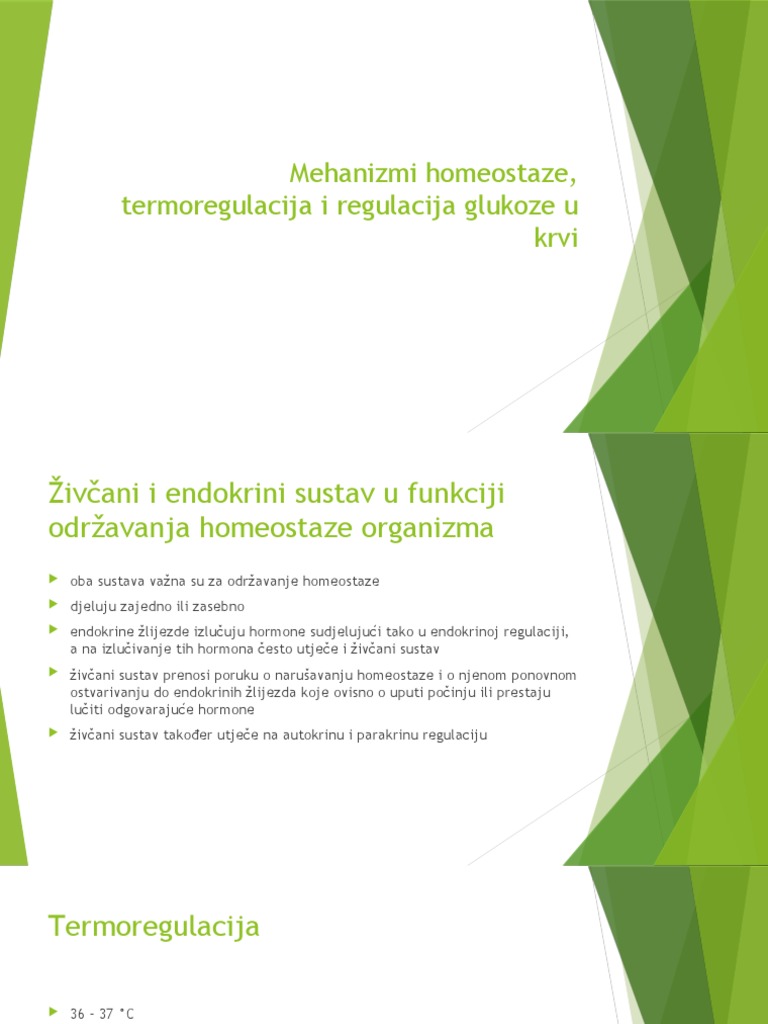Mehanizmi Homeostaze, Termoregulacija I Regulacija Glukoze U Krvi | PDF