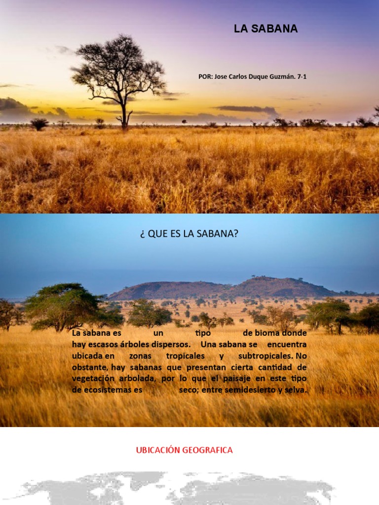 SABANA | PDF | Sabana | Subtropicos