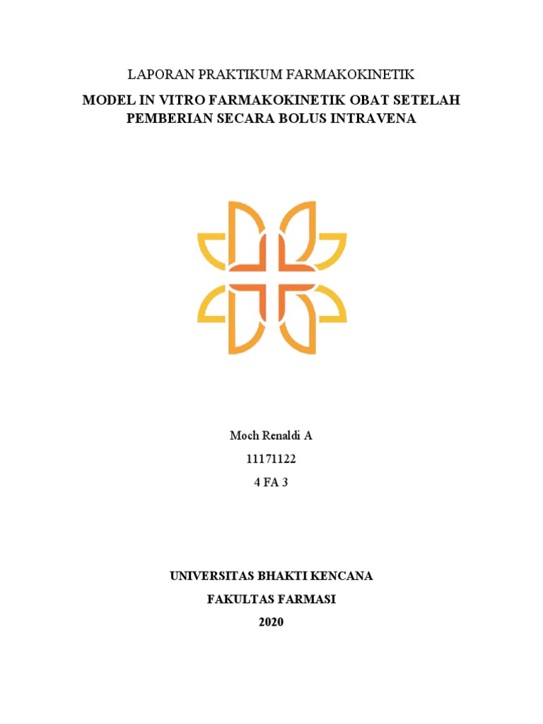 Bolus Intravena - Moch Renaldi - 11171122 - 4fa3 | PDF