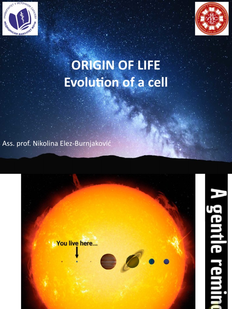 Evolution of A Cell | PDF | Prokaryote | Cell (Biology)