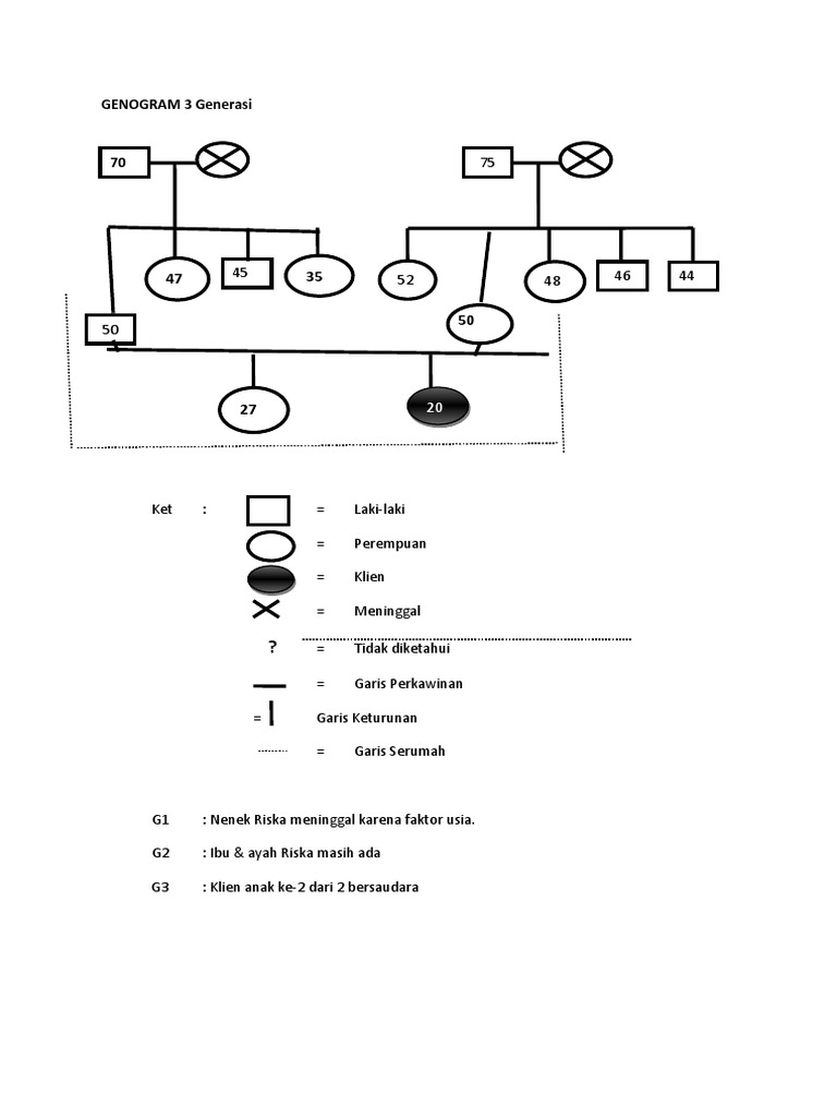 Genogram Keluarga 3 Generasi Riska | PDF