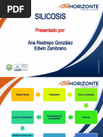 Baciloscopia BK Esputo | PDF | Tos | Laboratorios