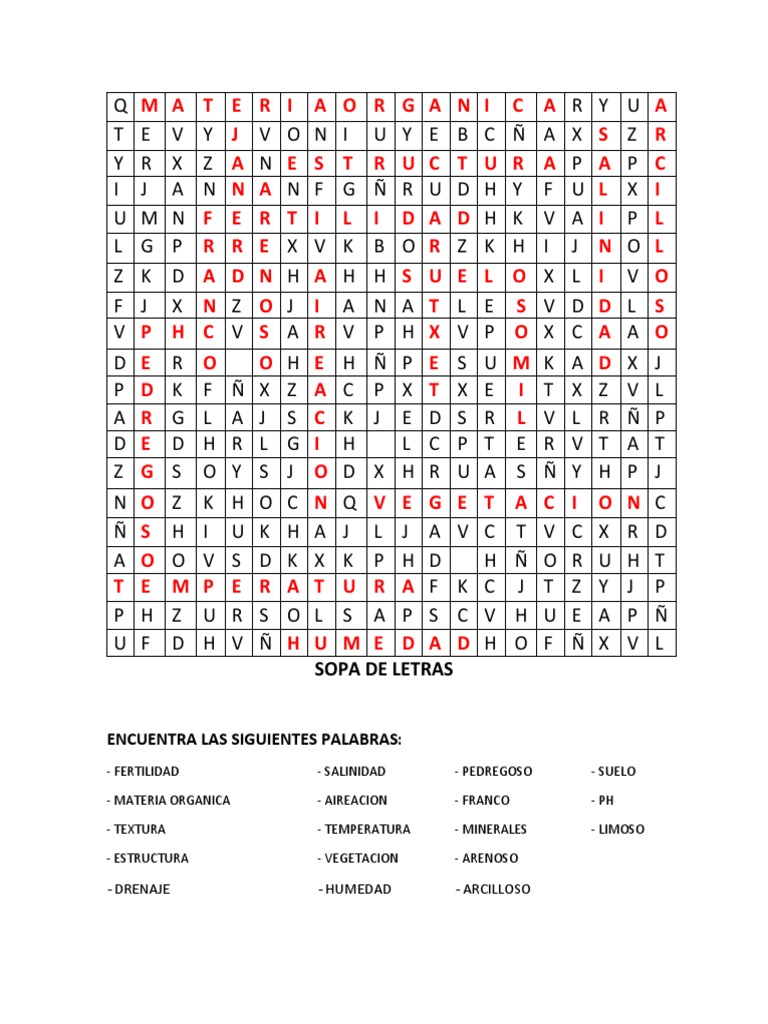 Sopa De Letras Sobre El Suelo