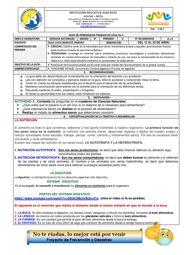 Guía 1 Ciencias Naturales | PDF | Digestión | Sistema digestivo humano