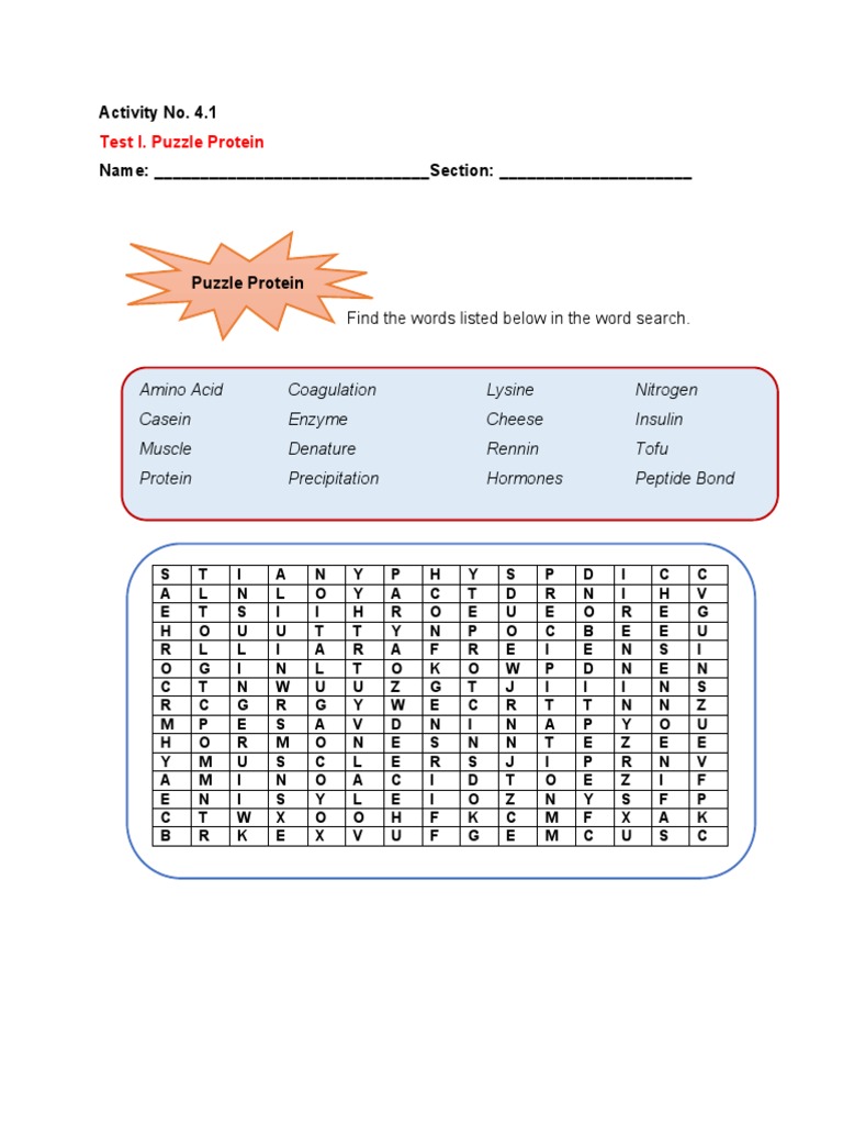 Protein Word Search Activity | PDF