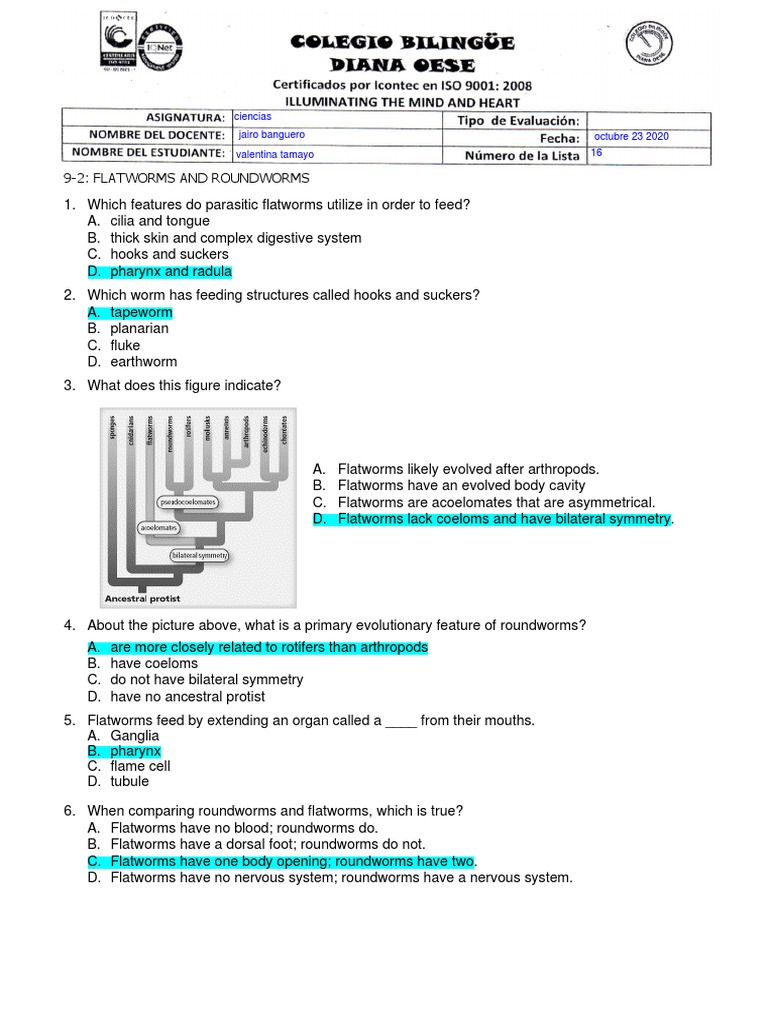 Flatworms vs. Roundworms: Key Differences | PDF | Protostomes | Biology