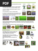 Osnovne Upute Za Pisanje Lektire | PDF