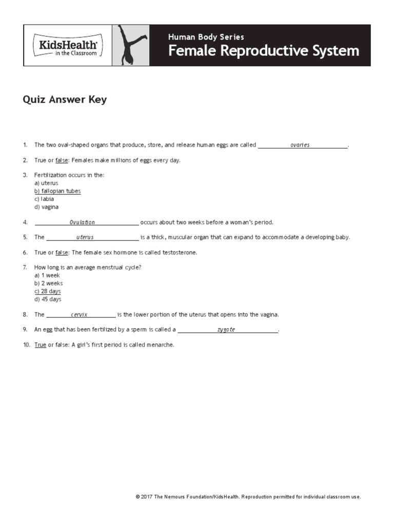 Female Reproductive System: Quiz Answer Key | PDF